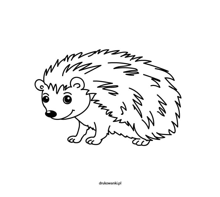Jak narysować jeża - łatwa instrukcja krok po kroku dla dzieci w obrazkach