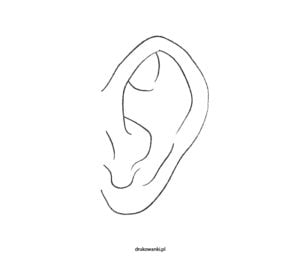Jak narysować ucho - łatwa instrukcja w obrazkach dla dzieci